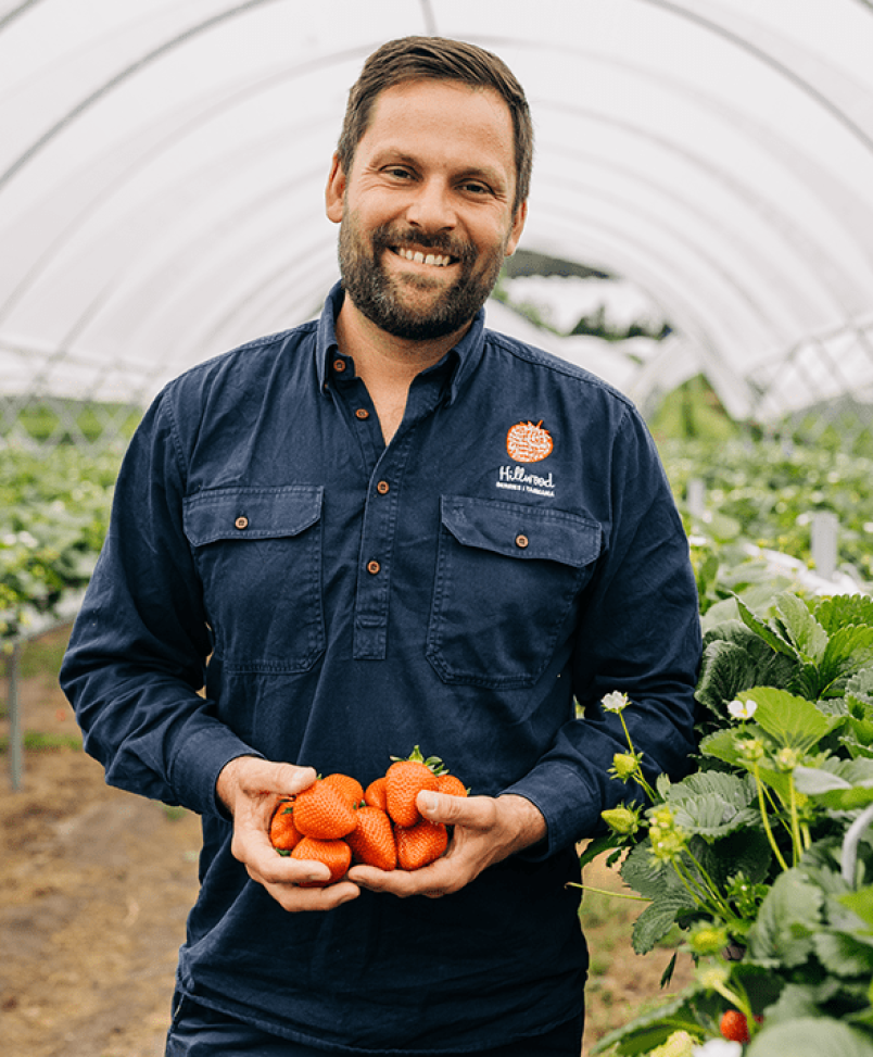 Fresh Strawberries | Deliciously Sweet | Driscolls