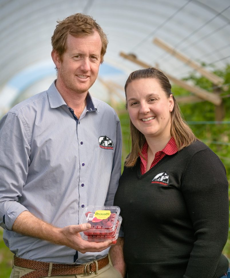 Fresh Strawberries | Deliciously Sweet | Driscolls