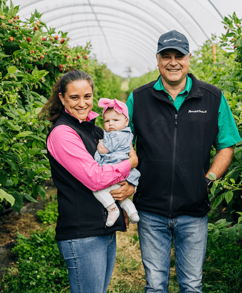 Fresh Raspberries | Nutritious & Tasty | Driscolls