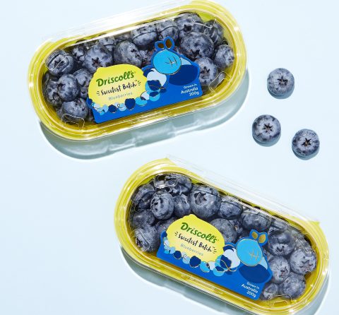 Fresh Blueberries | Nature's Delicious Superfood | Driscolls