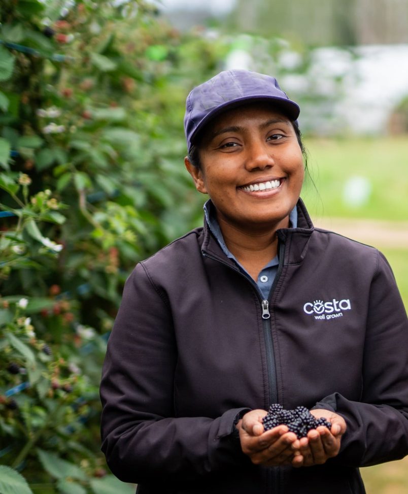 Fresh Blueberries | Nature's Delicious Superfood | Driscolls